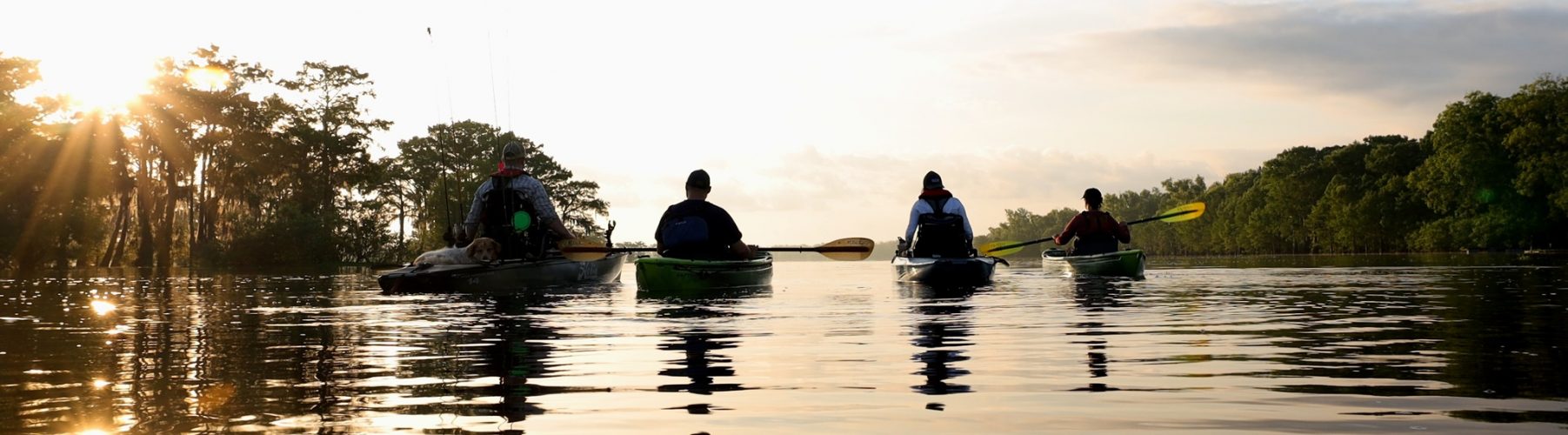 What is Ecotherapy? - Nature's Journey for Mental Health
