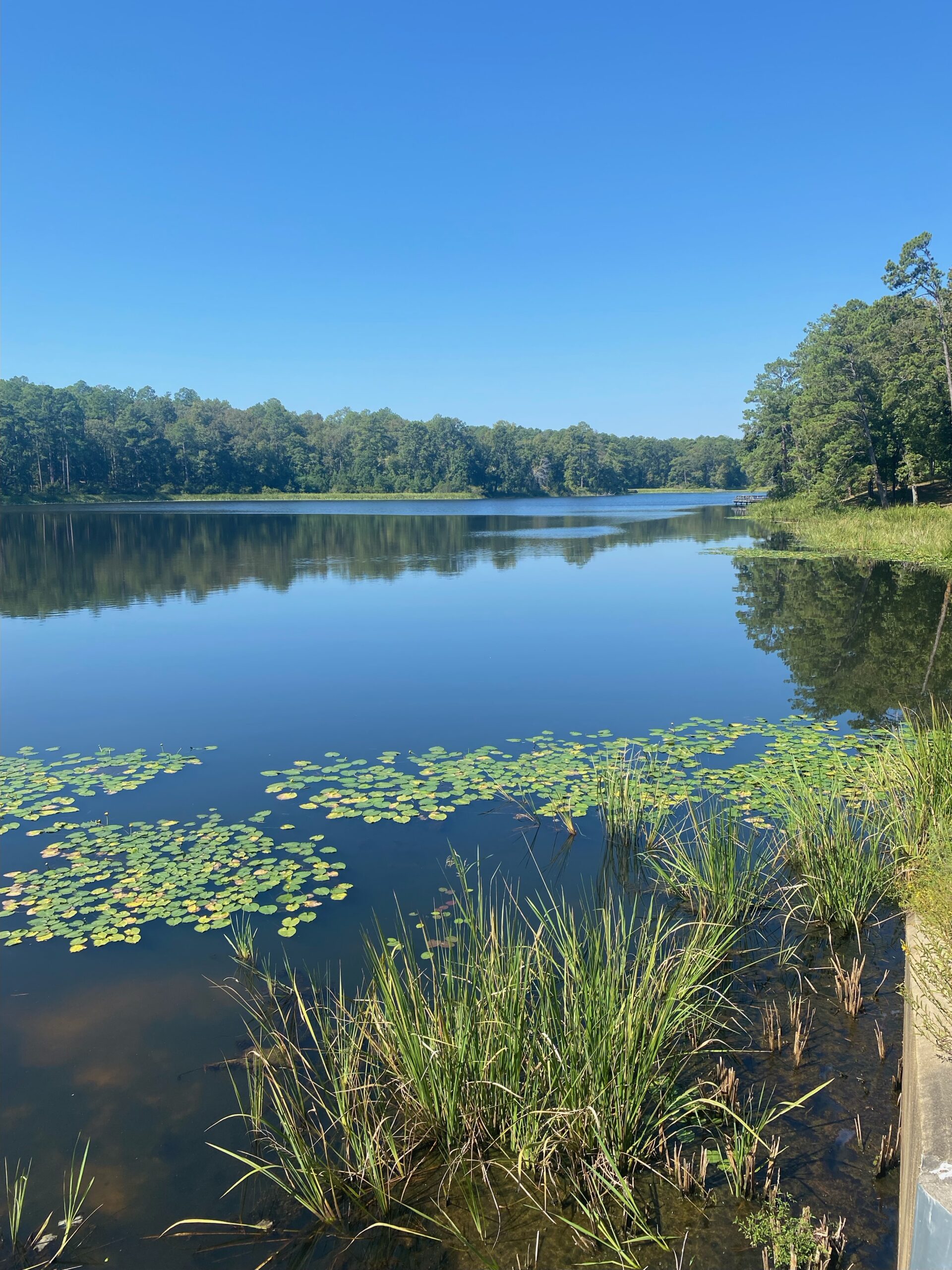 Discovering Serenity: A Family Adventure at Lake Valentine - Nature's ...
